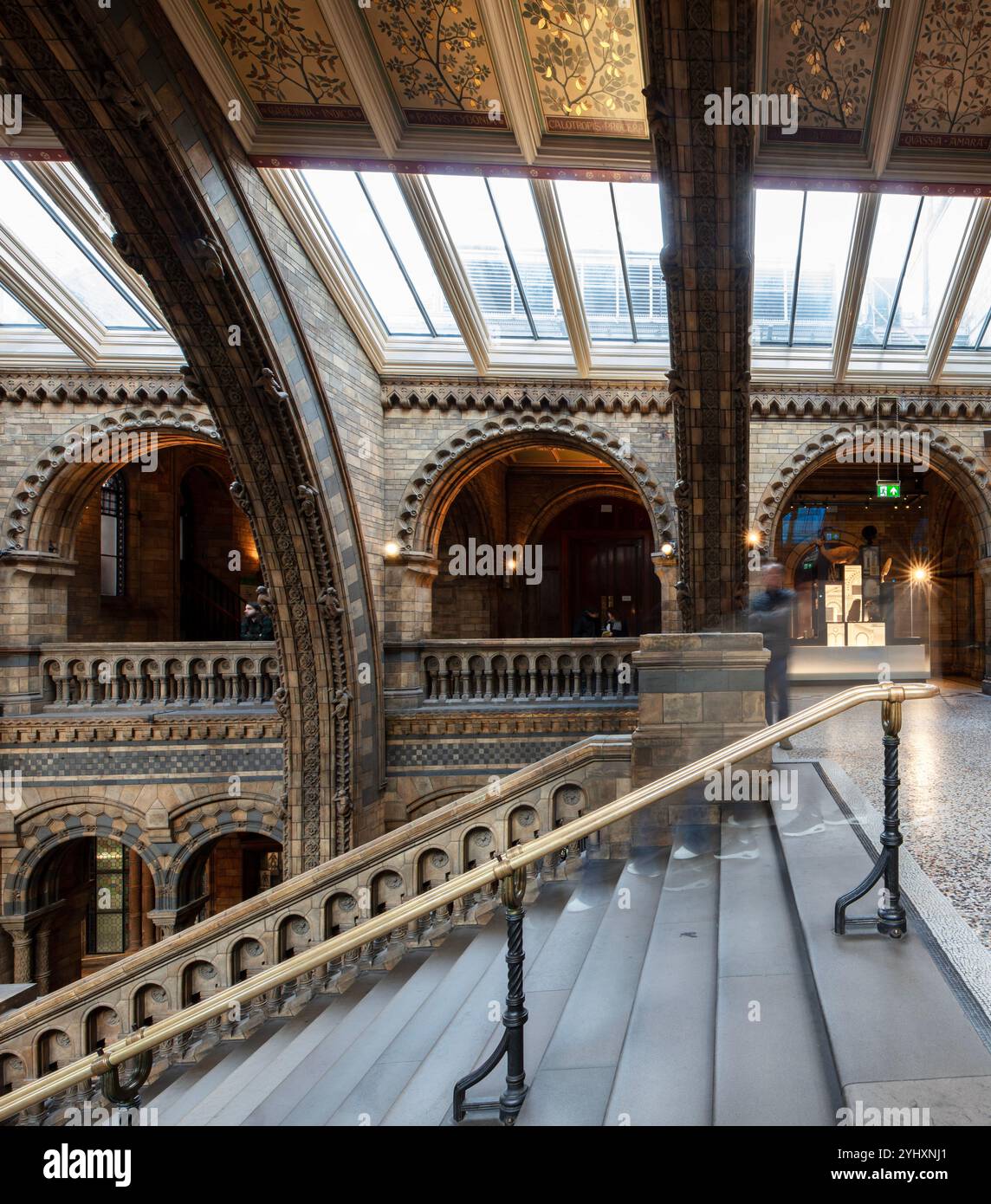 Interior of the Natural History Museum (NHM) in London; designed by ...