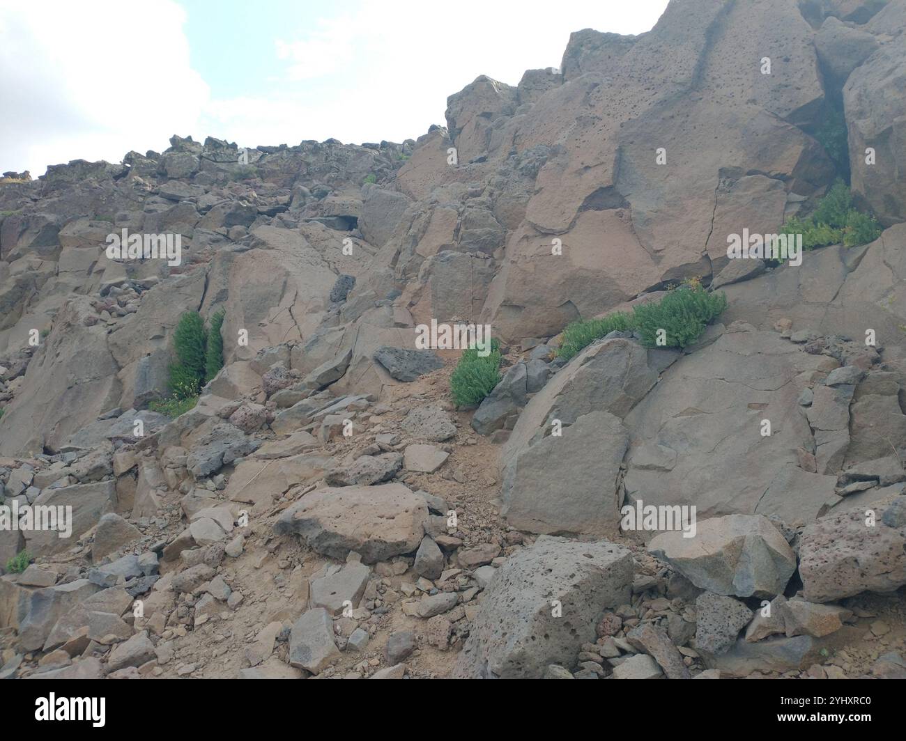 Cliffbrake hi-res stock photography and images - Alamy