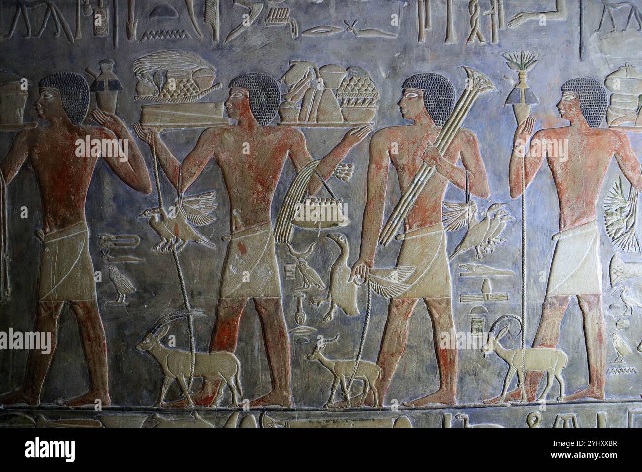 Saqqara. 12th Nov, 2024. This photo taken on Nov. 12, 2024 shows a ...