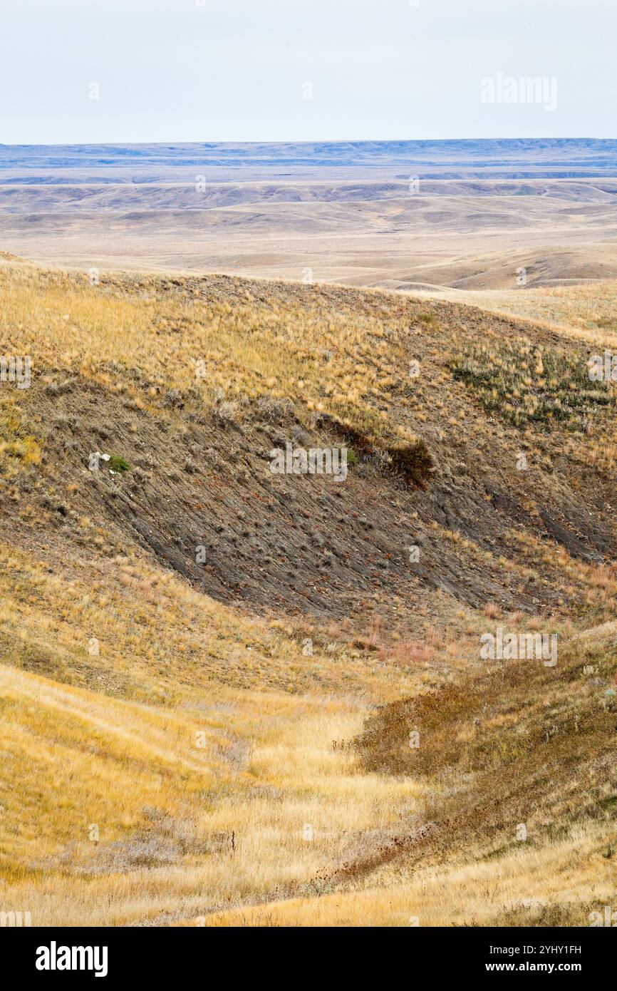 Rolling hills flattening out into the plains and badlands. Grasslands ...