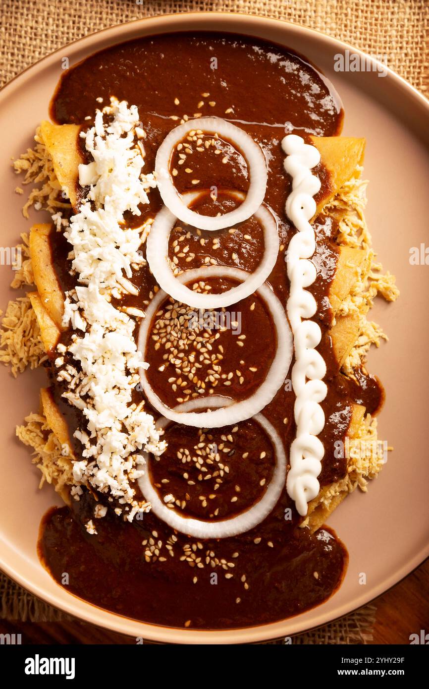 Chicken Enmoladas. In Mexico they are called Enchiladas de Mole Poblano ...