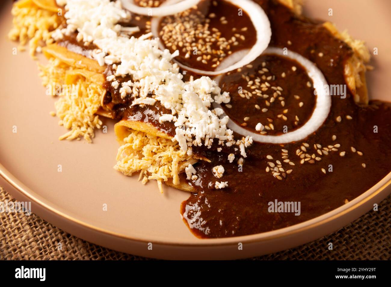Chicken Enmoladas. In Mexico they are called Enchiladas de Mole Poblano ...