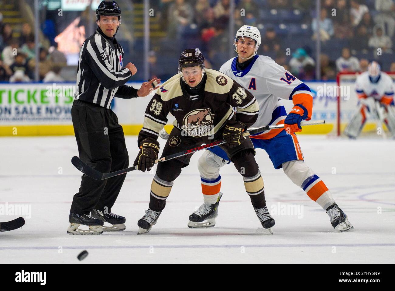 Luke philp hi-res stock photography and images - Alamy