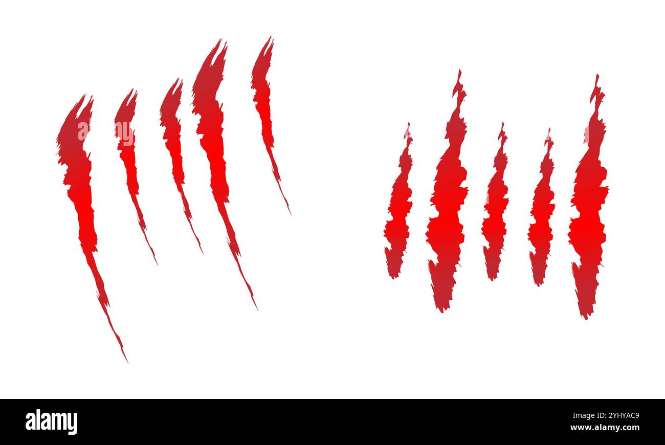 Scratches animal hi-res stock photography and images - Alamy