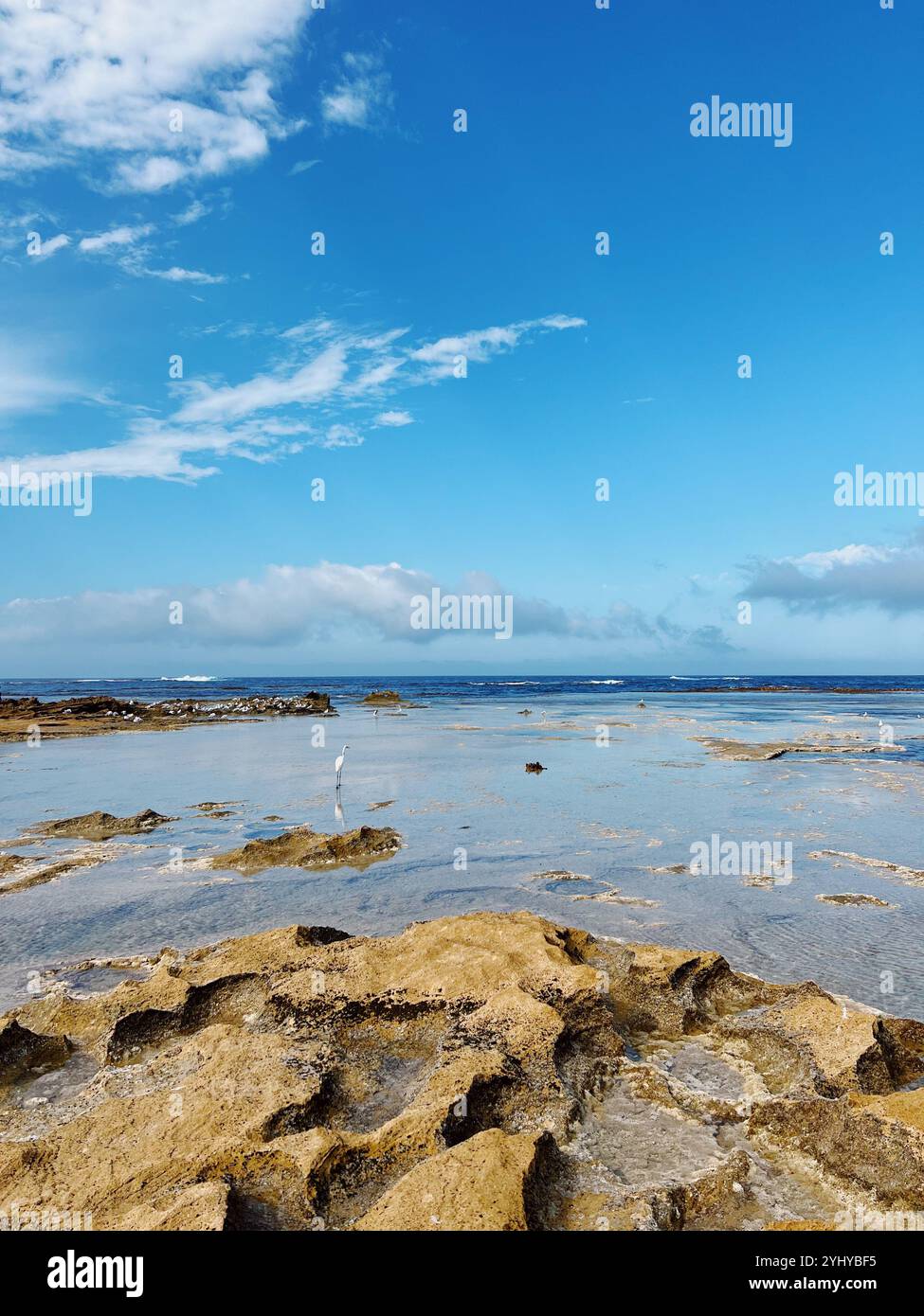 Coastline along Stingray Bay, Victoria Stock Photo - Alamy