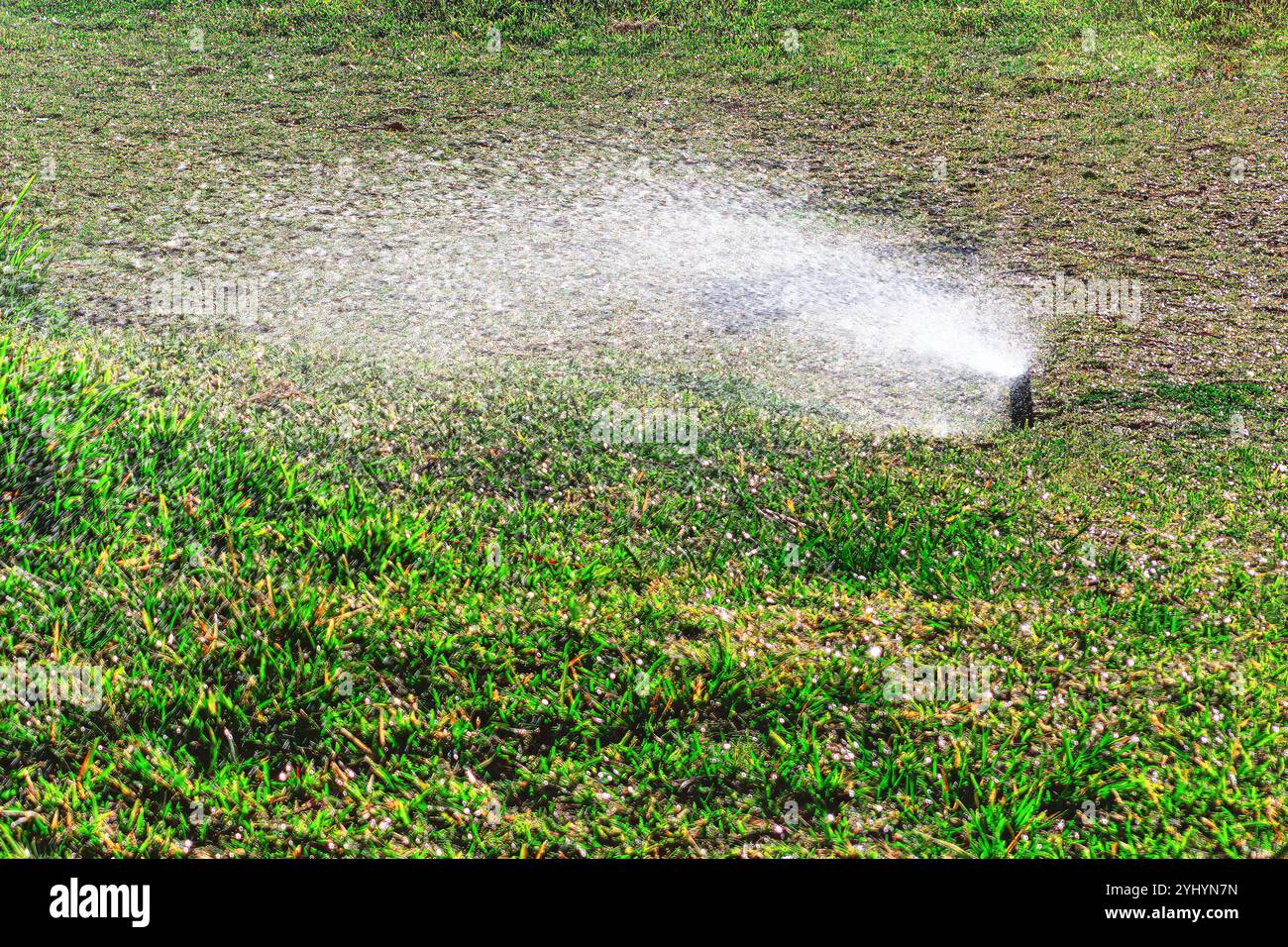Splashing water over a lush green lawn. The grass is green and the ...