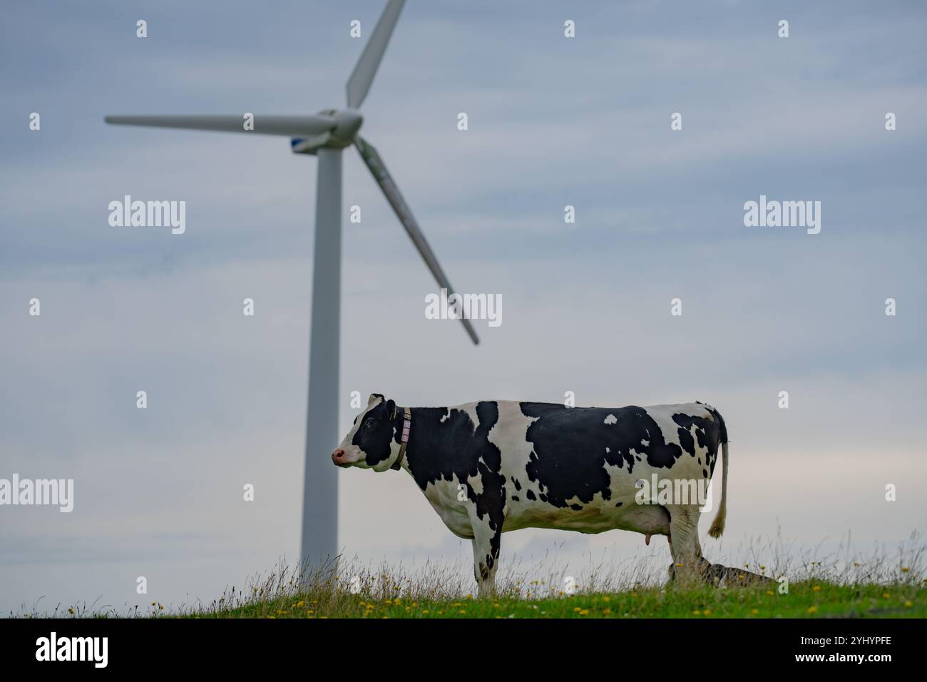 Eco farming. Wind generator power. Green energy concept. Eco farm. Wind ...