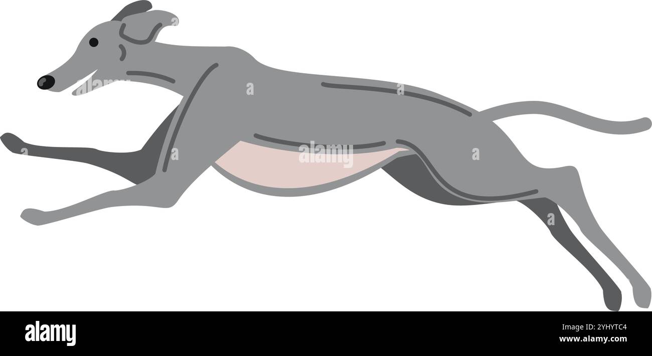 Running greyhound vector hi-res stock photography and images - Alamy