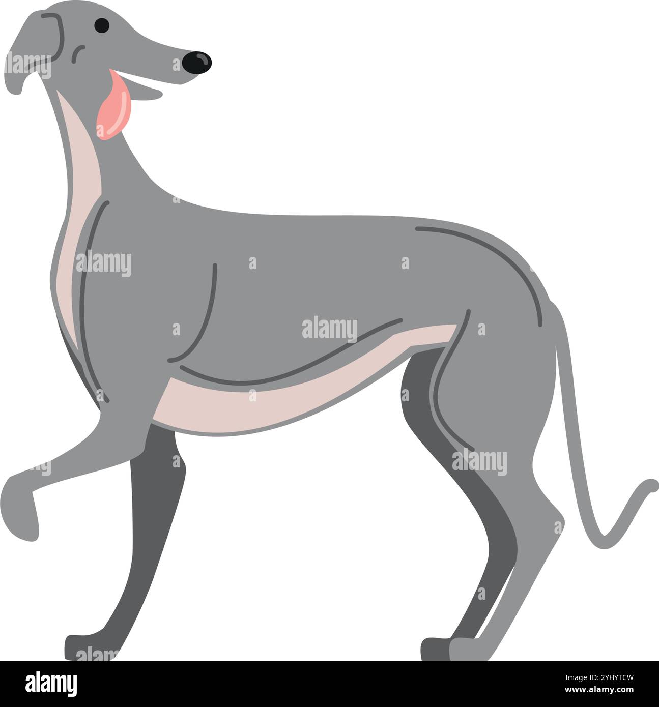 Greyhound dog breed face Stock Vector Images - Alamy