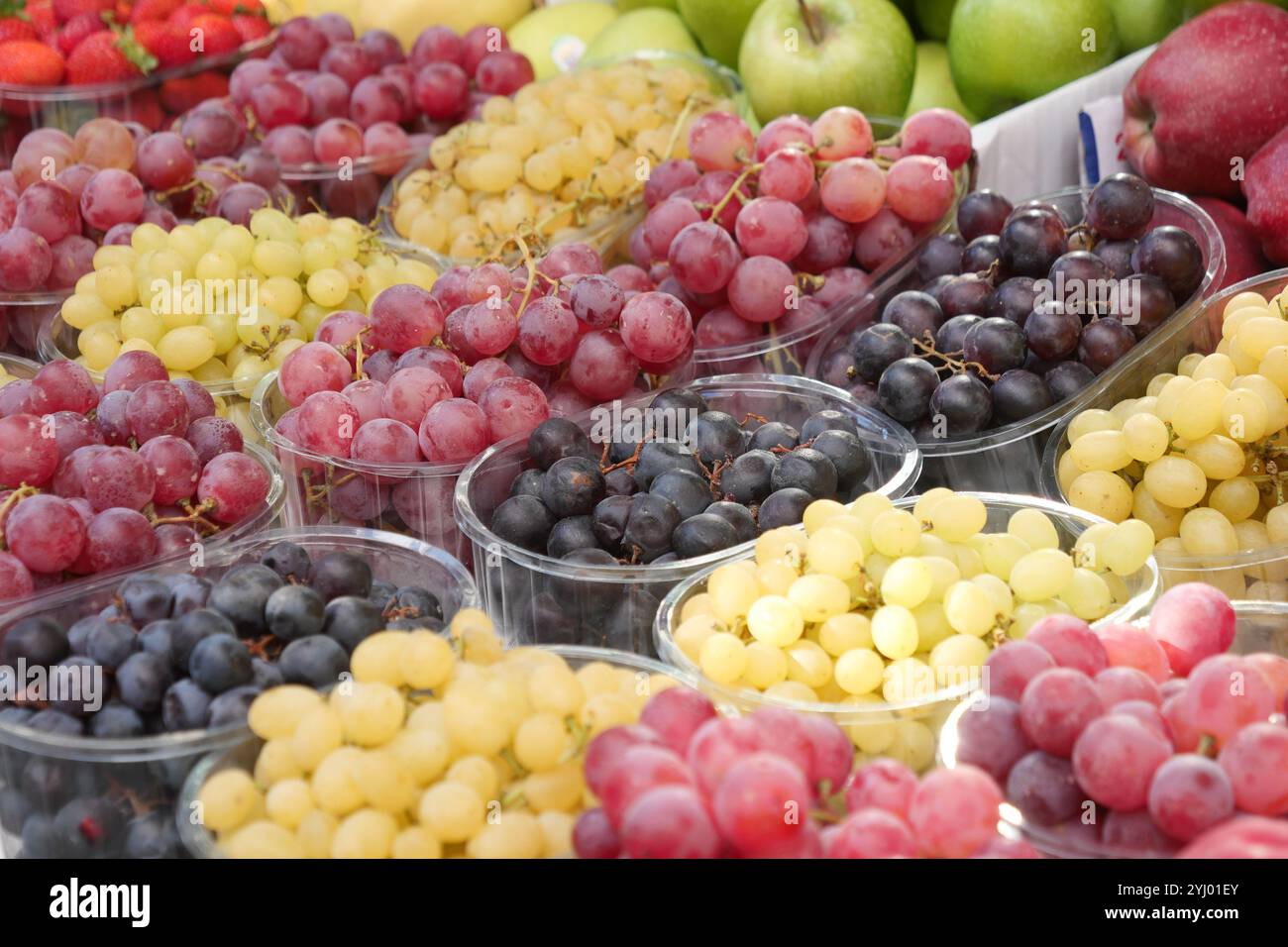Explore a Vibrant Variety of Fresh Grapes Available at the Local Market ...