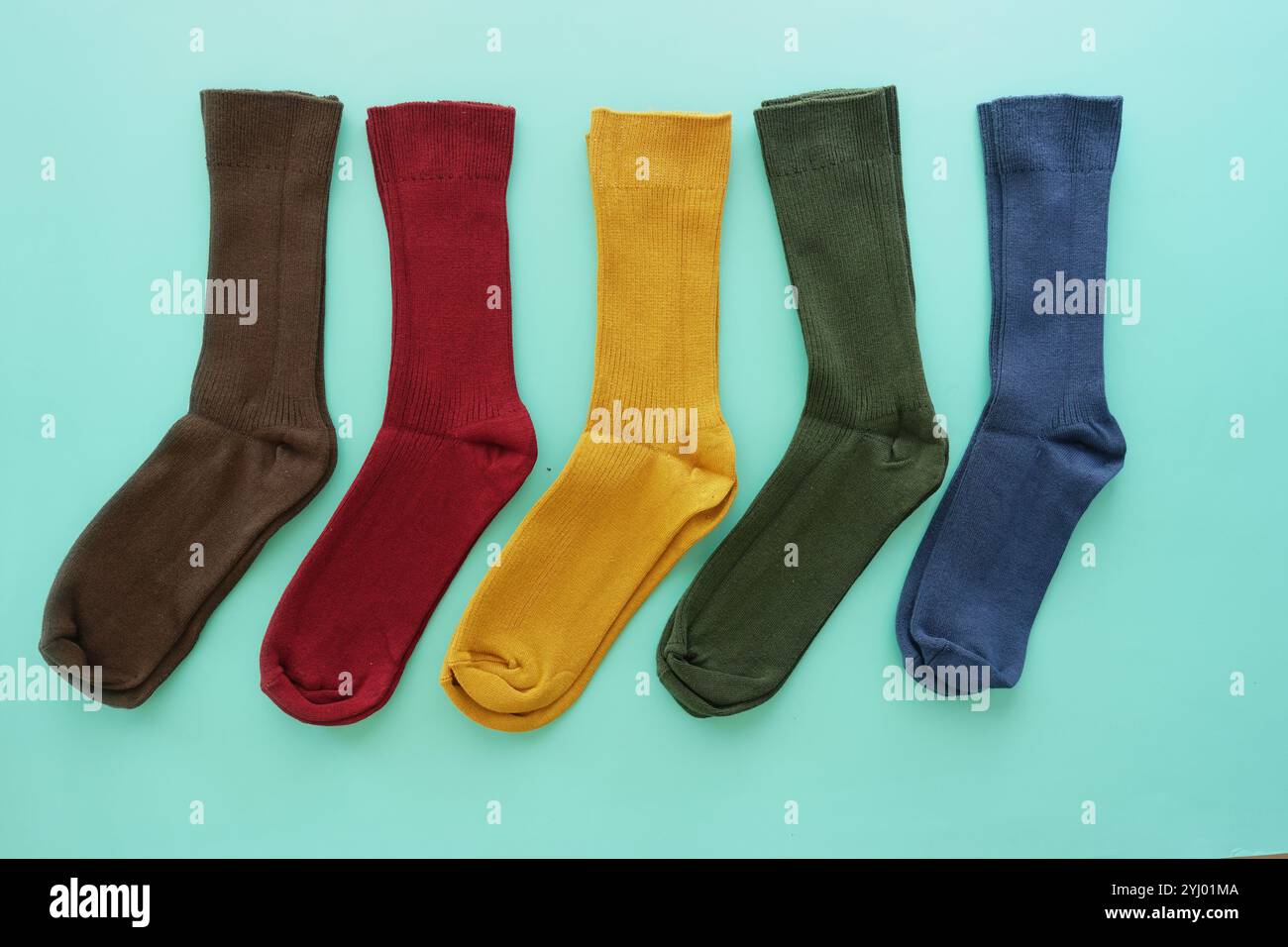 Explore our vibrant and colorful socks collection showcased beautifully ...