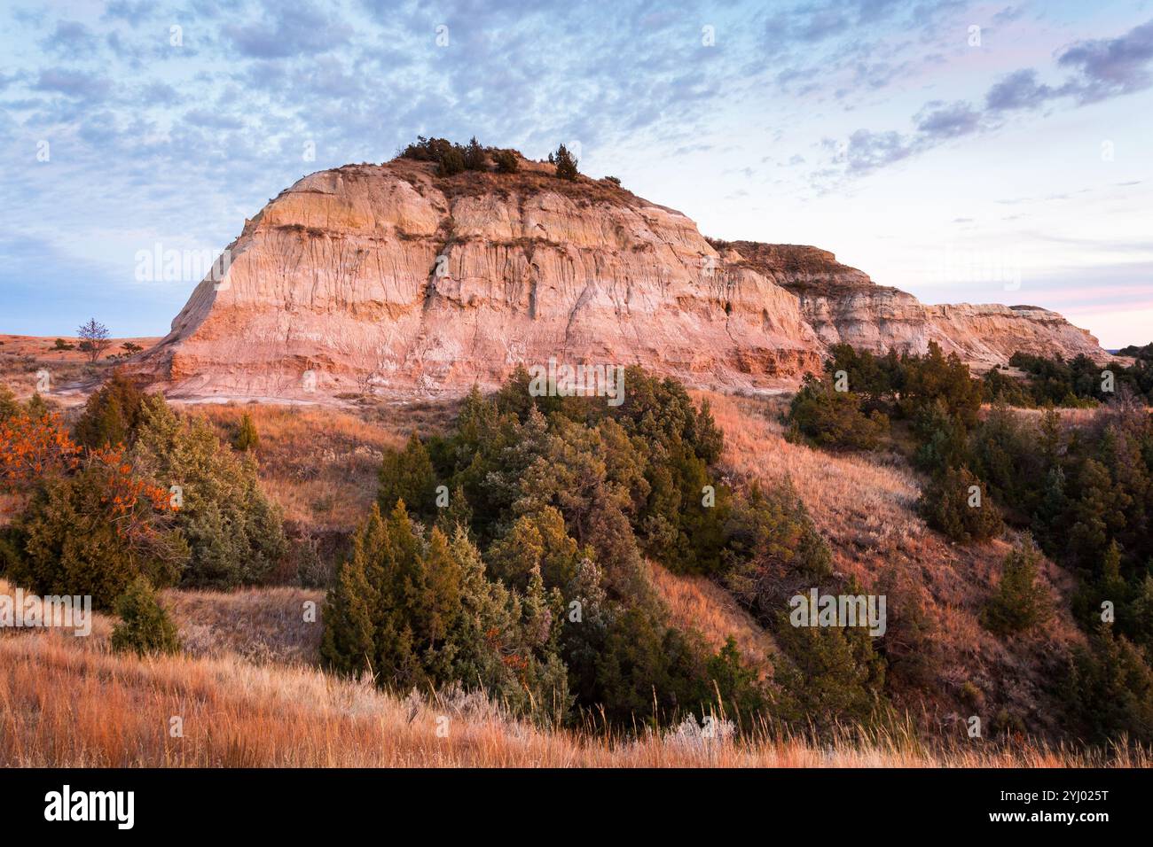 Badlands hills rise above juniper trees in Theodore Roosevelt National ...