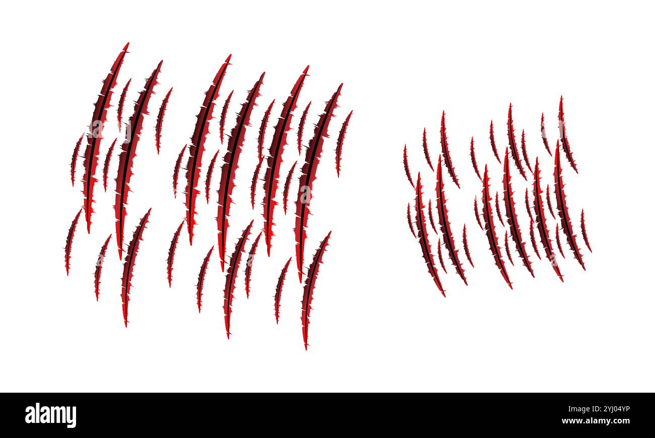 Claws scratches. Monster claw animal slash marks on white background ...