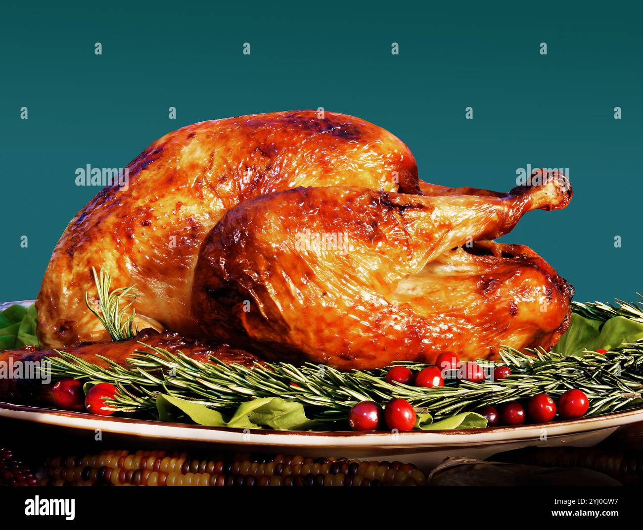 A Thanksgiving turkey is roasted and ready to serve in this photograph ...