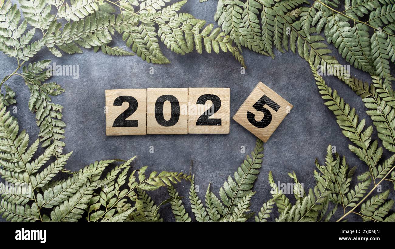 Wooden blocks with number 2025 on leaf frame with black background ...