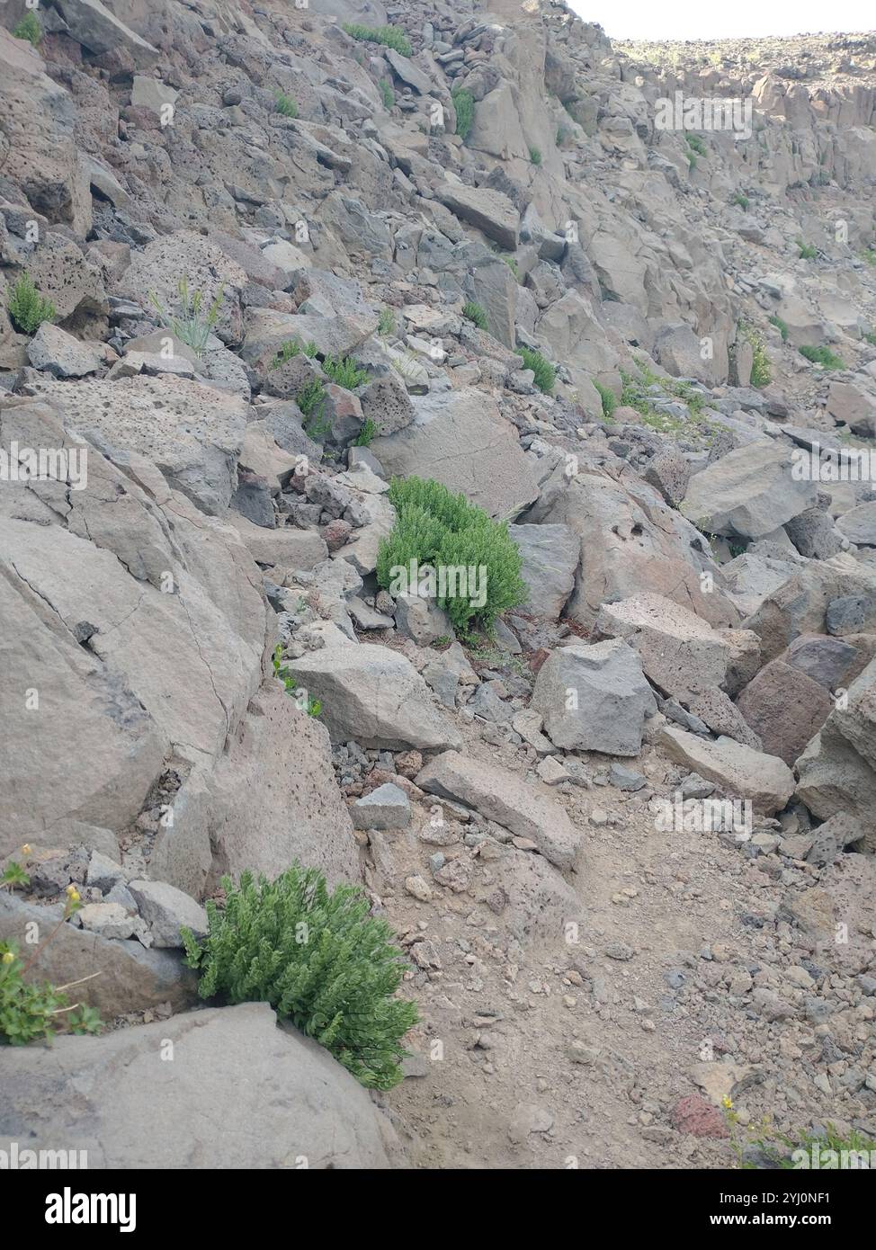 Cliffbrake hi-res stock photography and images - Alamy