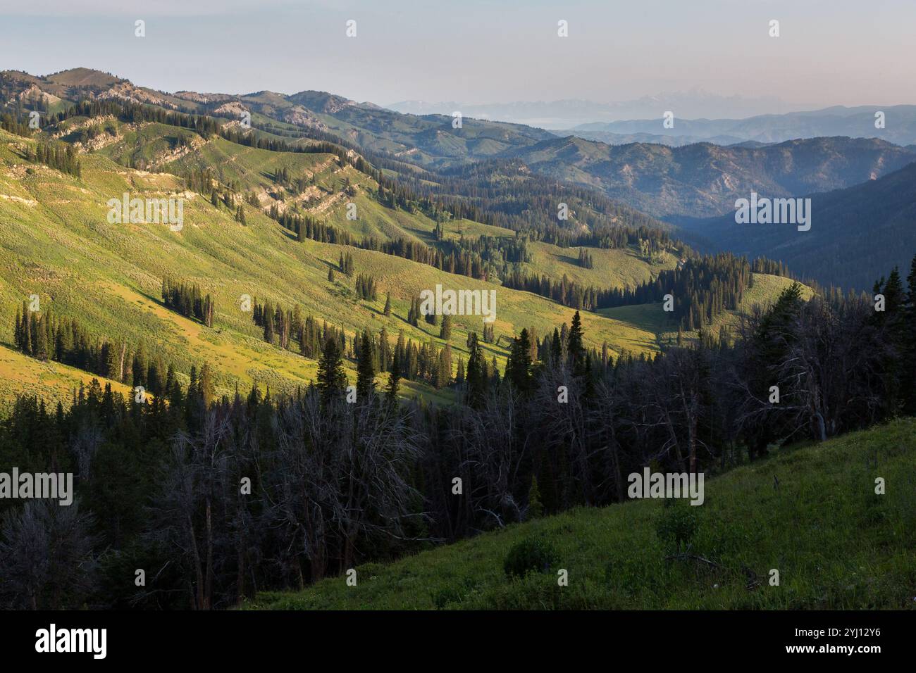 The rolling mountains of the northern Wyoming Range stretching out ...