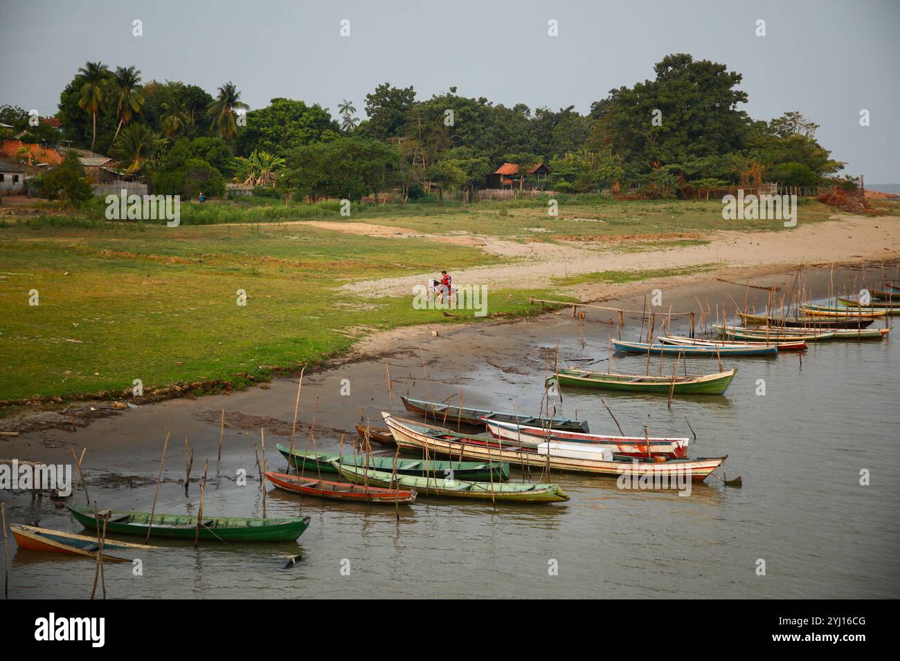 Parico hi-res stock photography and images - Alamy