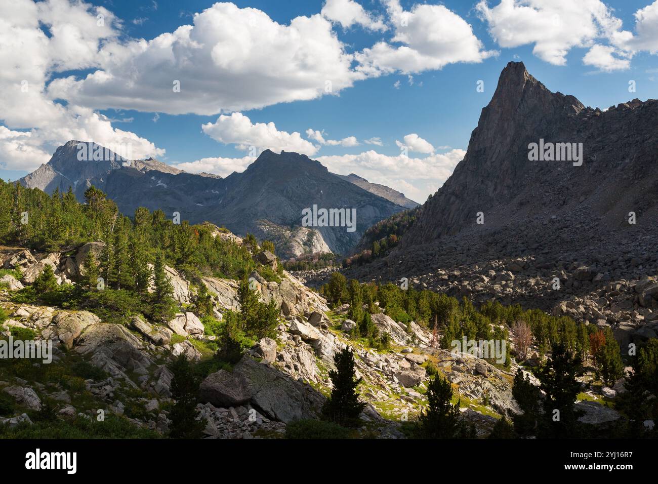 The rugged alpine regions of the Wind River Mountains, Bridger ...