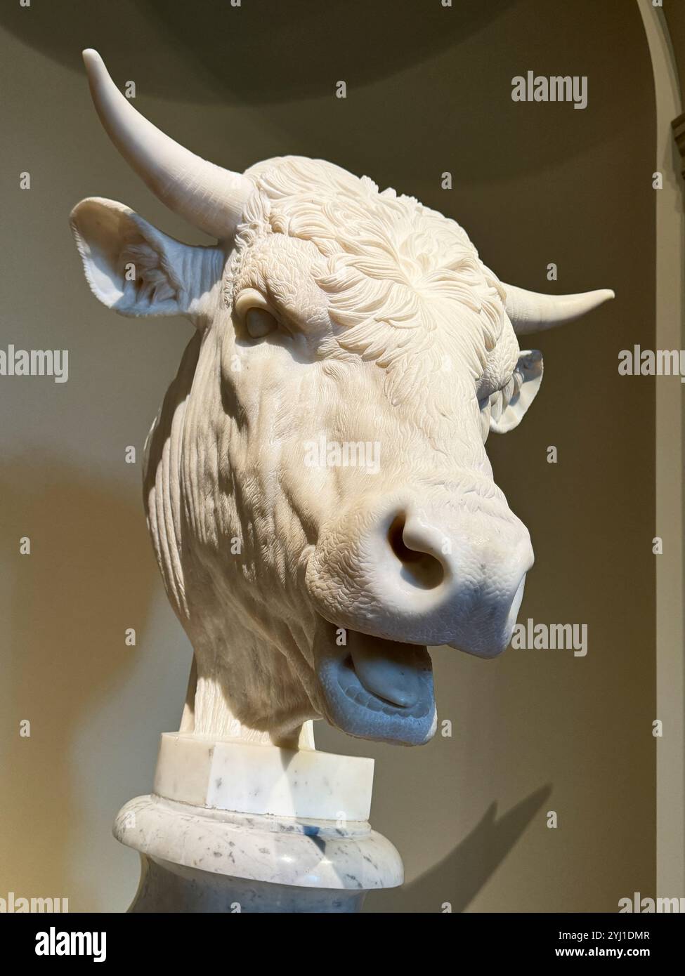 Gaetano Monti's Head of a Bull. A carved, white, marble, realistic bull ...