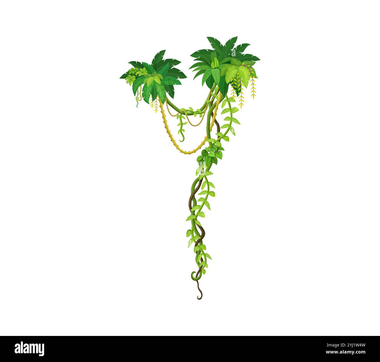 Jungle rain forest liana vine branch and leaves. Amazon rain forest ...