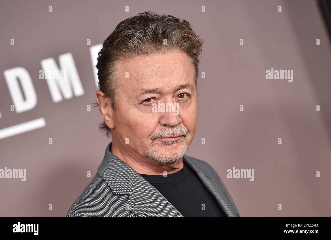 Hollywood, USA. 12th Nov, 2024. Mark Collie arriving to the Los Angeles ...
