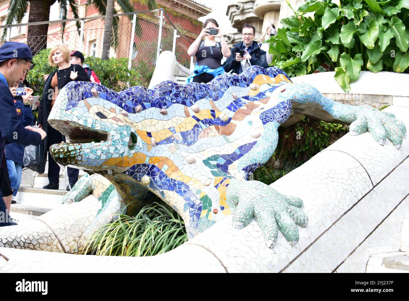 Familia gecko hi-res stock photography and images - Alamy