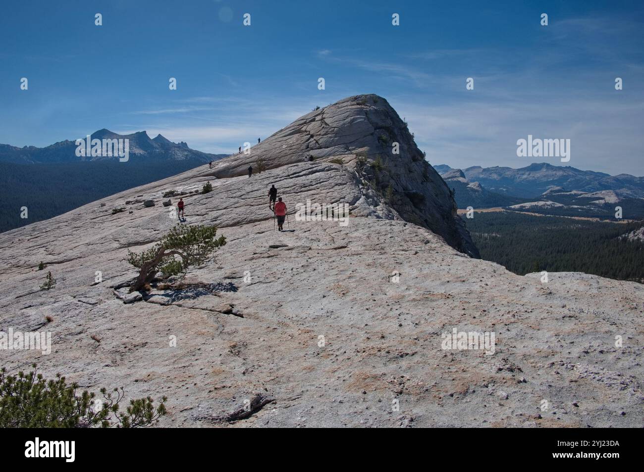 Hiking on Lembert Dome Loop Trail, USA Stock Photo - Alamy