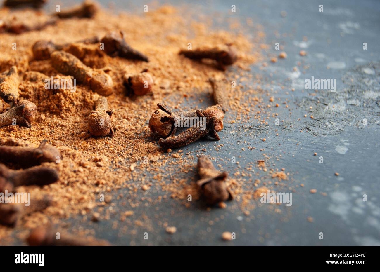 Fresh whole and ground clove spice on a dark blue backdrop, evoking ...