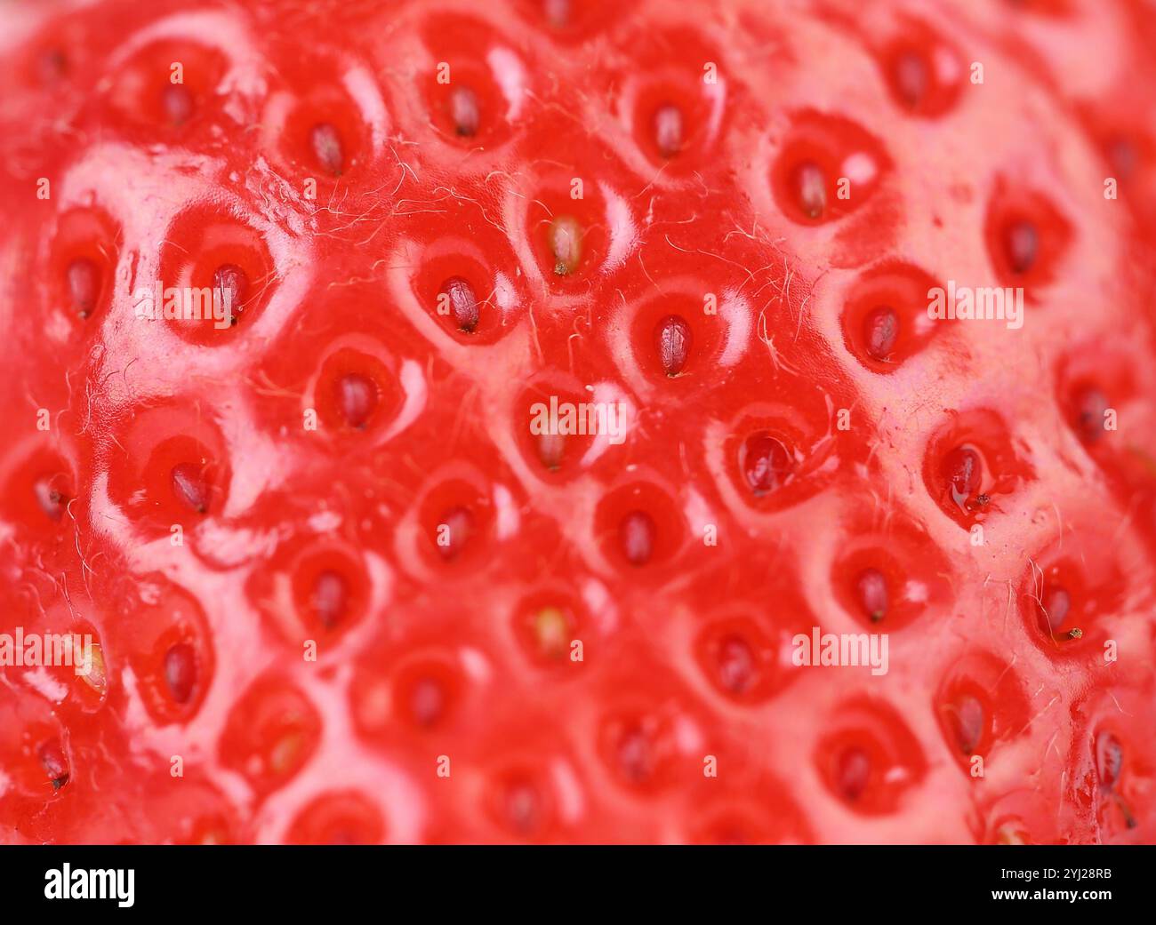 Extreme macro of strawberry texture -background. Macro Stock Photo - Alamy