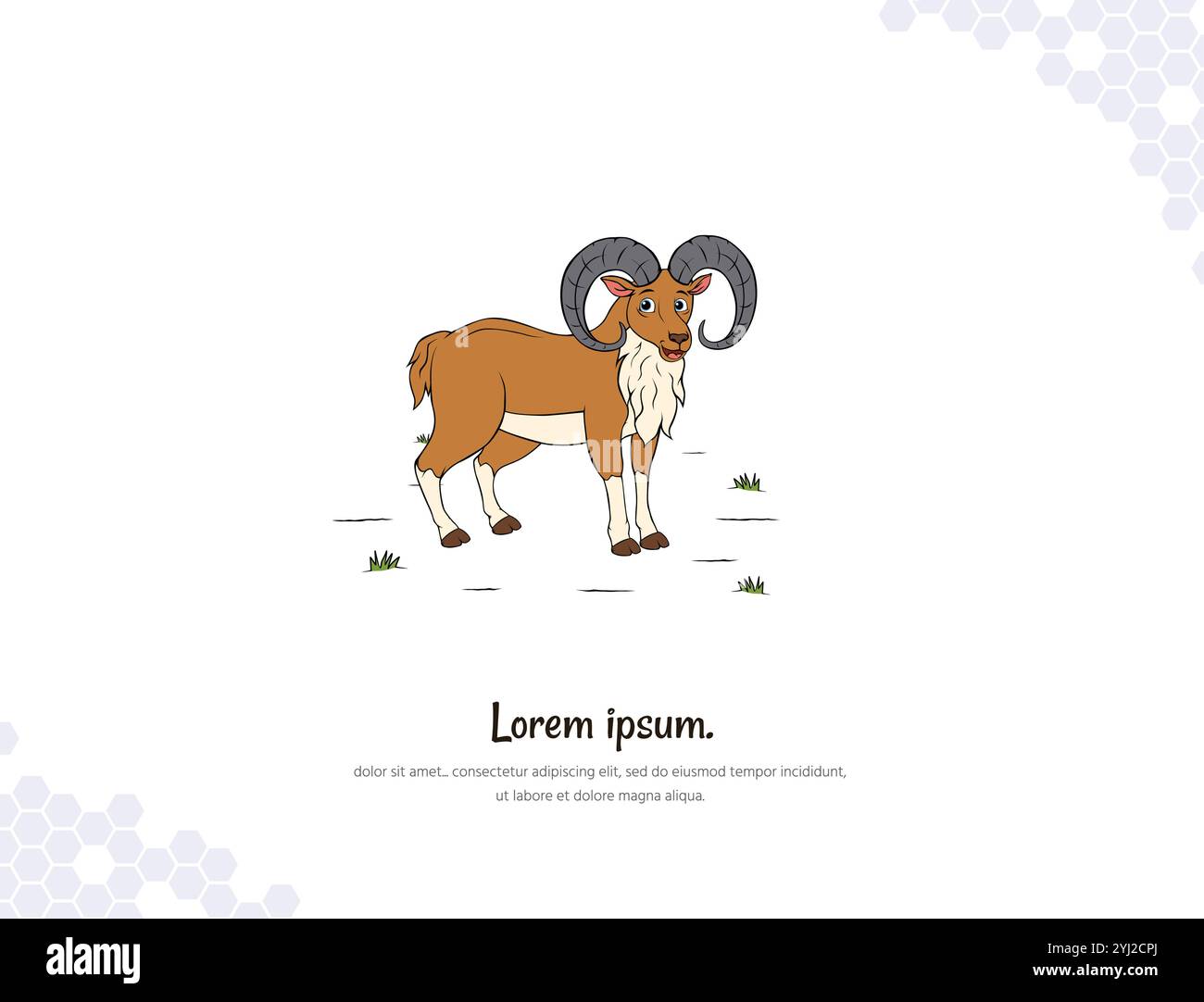 Urial sheep hi-res stock photography and images - Alamy