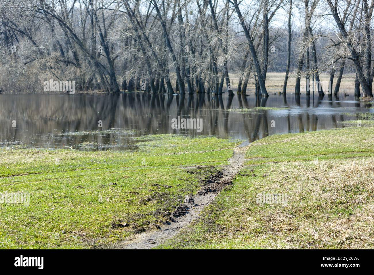 The spring flood flooded the field and the village road. Flood water in ...