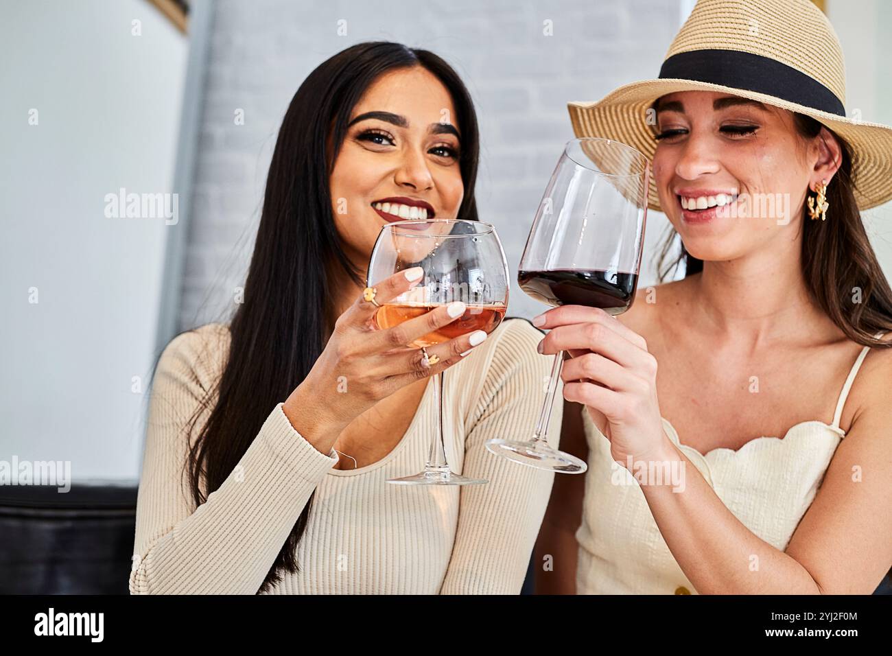 Two women toasting with wine glasses Stock Photo - Alamy
