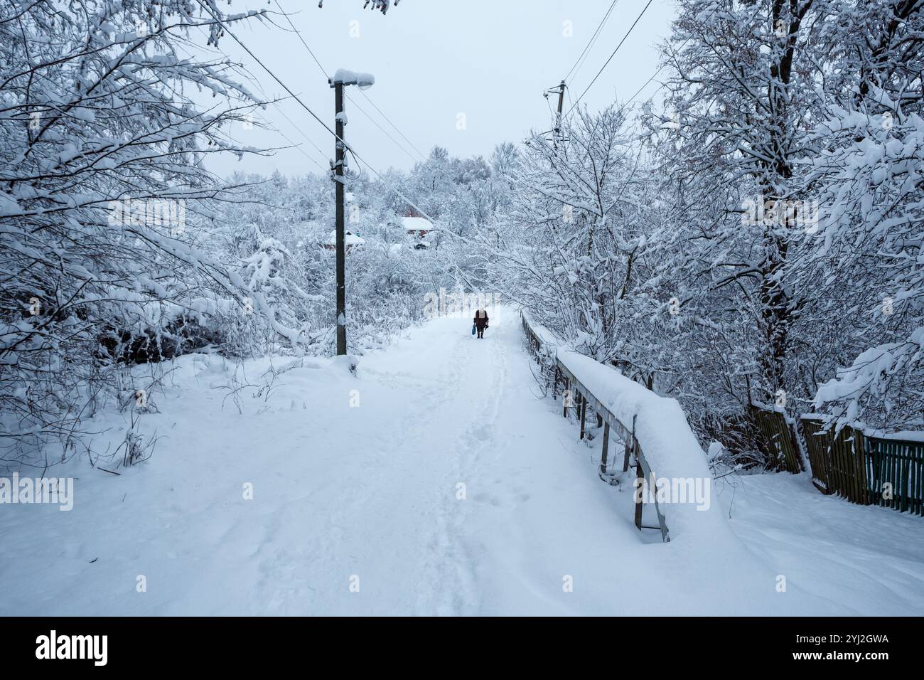 Grandmother in blizzard hi-res stock photography and images - Alamy