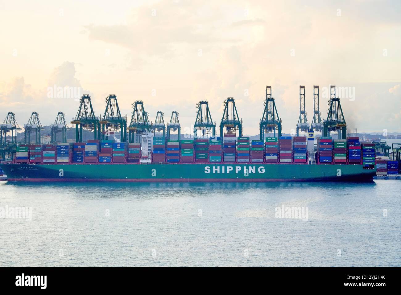 Sunset view chinshipping line cargo ship loaded containers port cranes ...