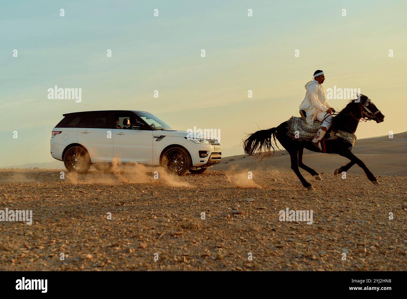 Galloping horse hi-res stock photography and images - Alamy