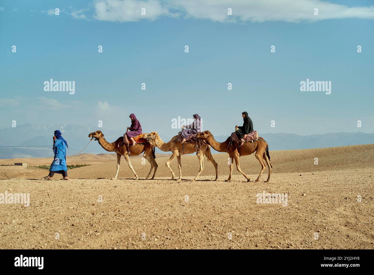 A group of people on a camel ride in a desert landscape guided by a ...