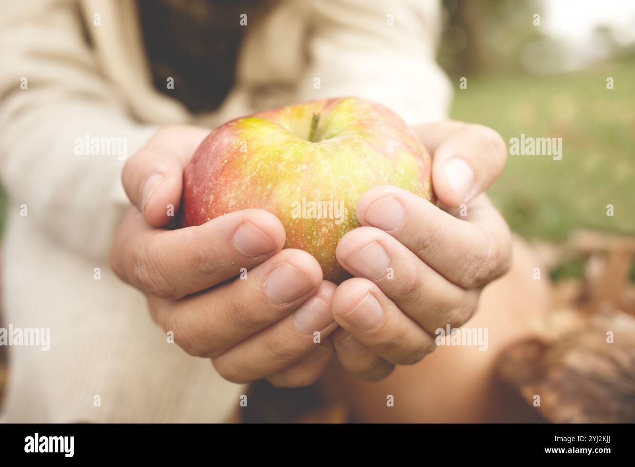 person offers his apple as a gift, concept of sharing and generosity ...