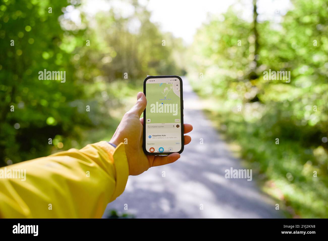 Hand holding a smartphone with a navigation map on the screen in a lush green forest setting ...