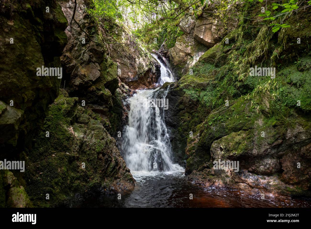 After a beautiful walk through the forest you will arrive at the ...