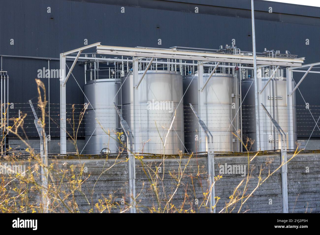 Large metal silos storing liquids in a modern industrial factory behind ...