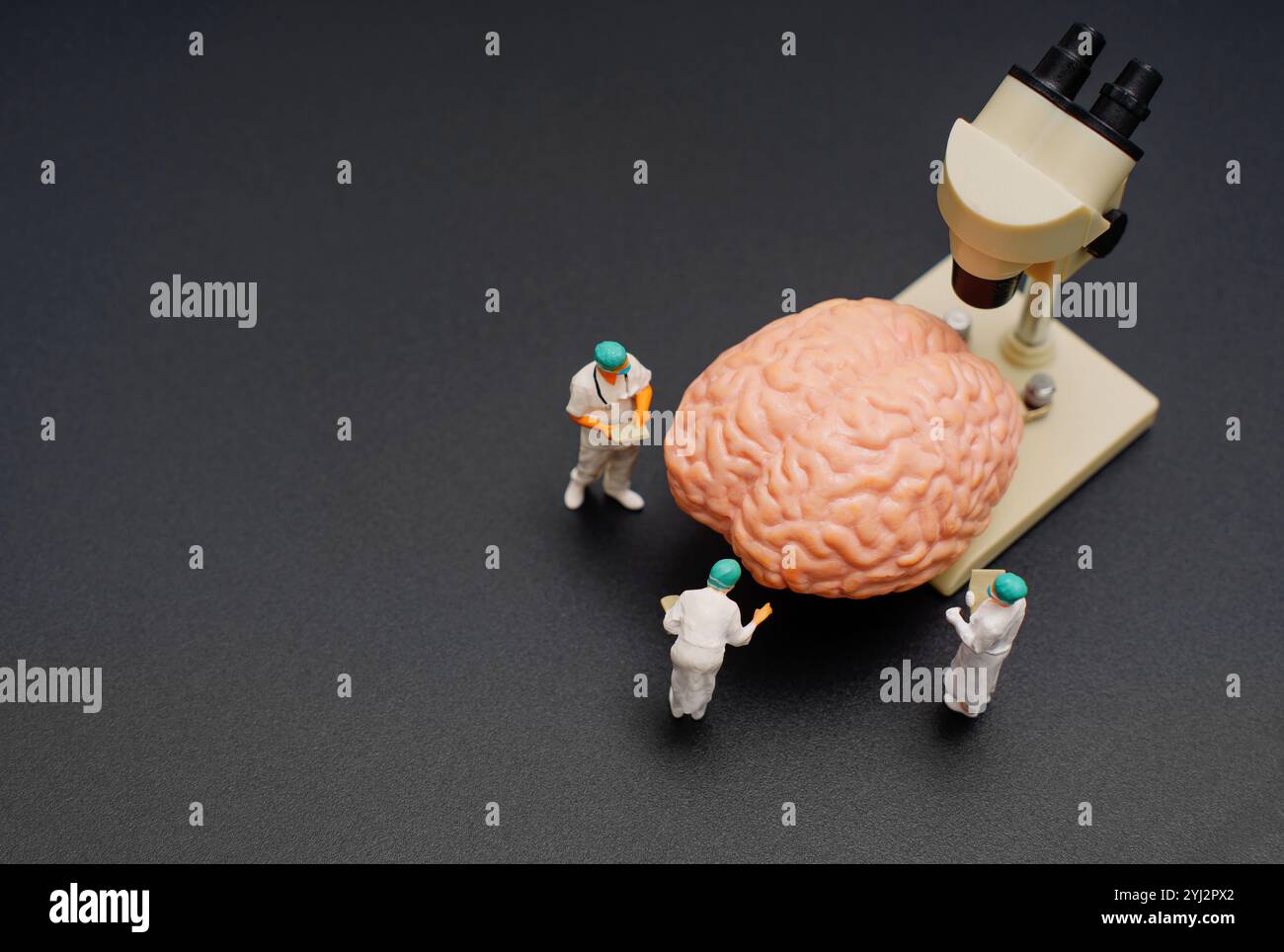 Miniature brain model examined by tiny scientists using a microscope on ...