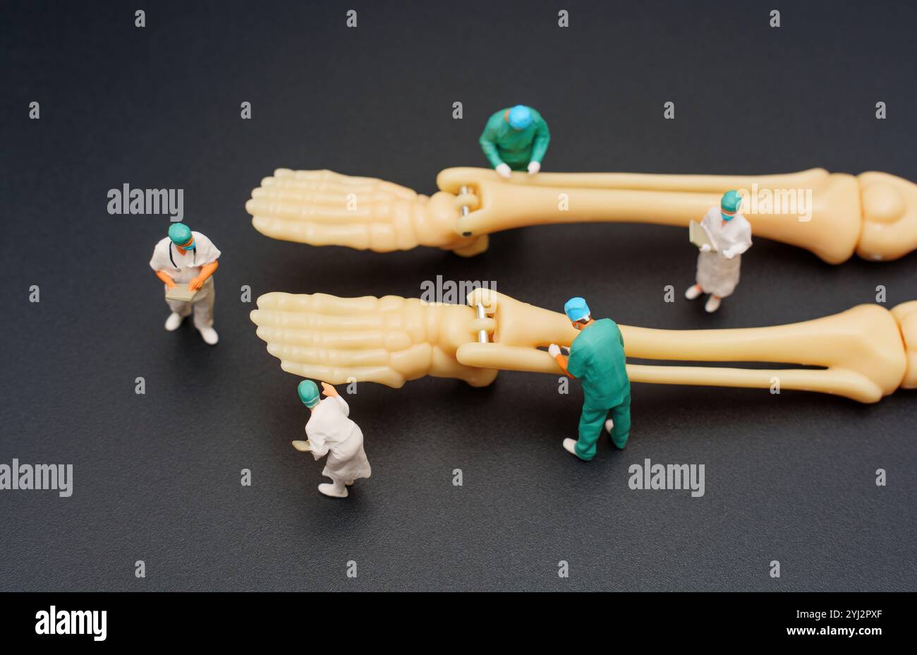 Human skeleton spine model working hi-res stock photography and images ...