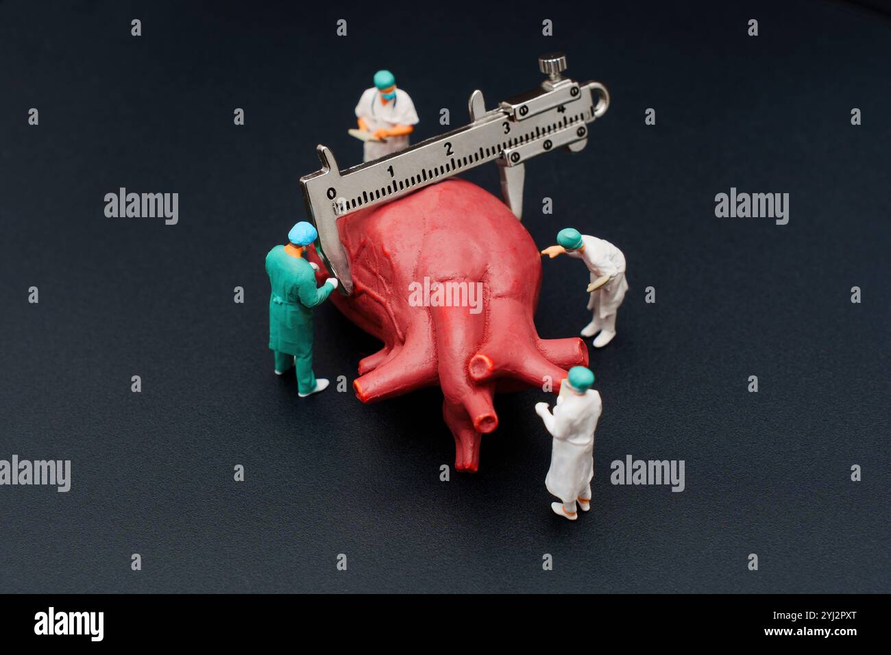 Miniature surgeons use a caliper to measure a realistic model of a ...