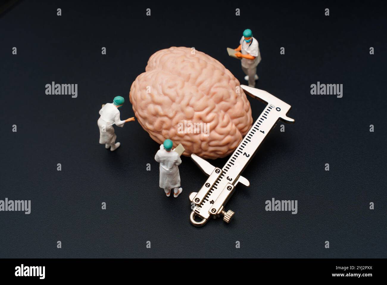 Miniature doctors use a caliper to measure a realistic model of a human ...