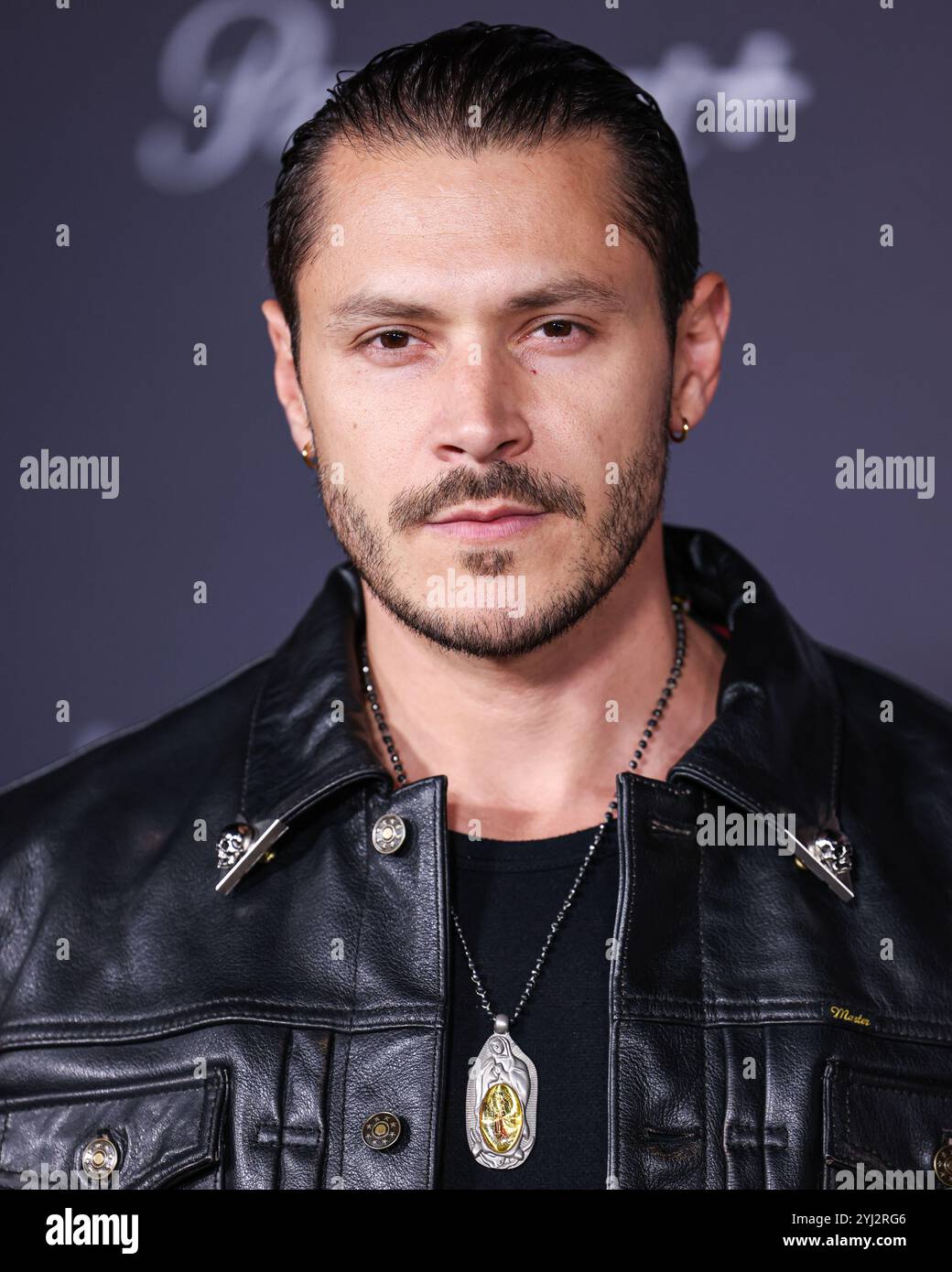 Hollywood, United States. 12th Nov, 2024. HOLLYWOOD, LOS ANGELES ...