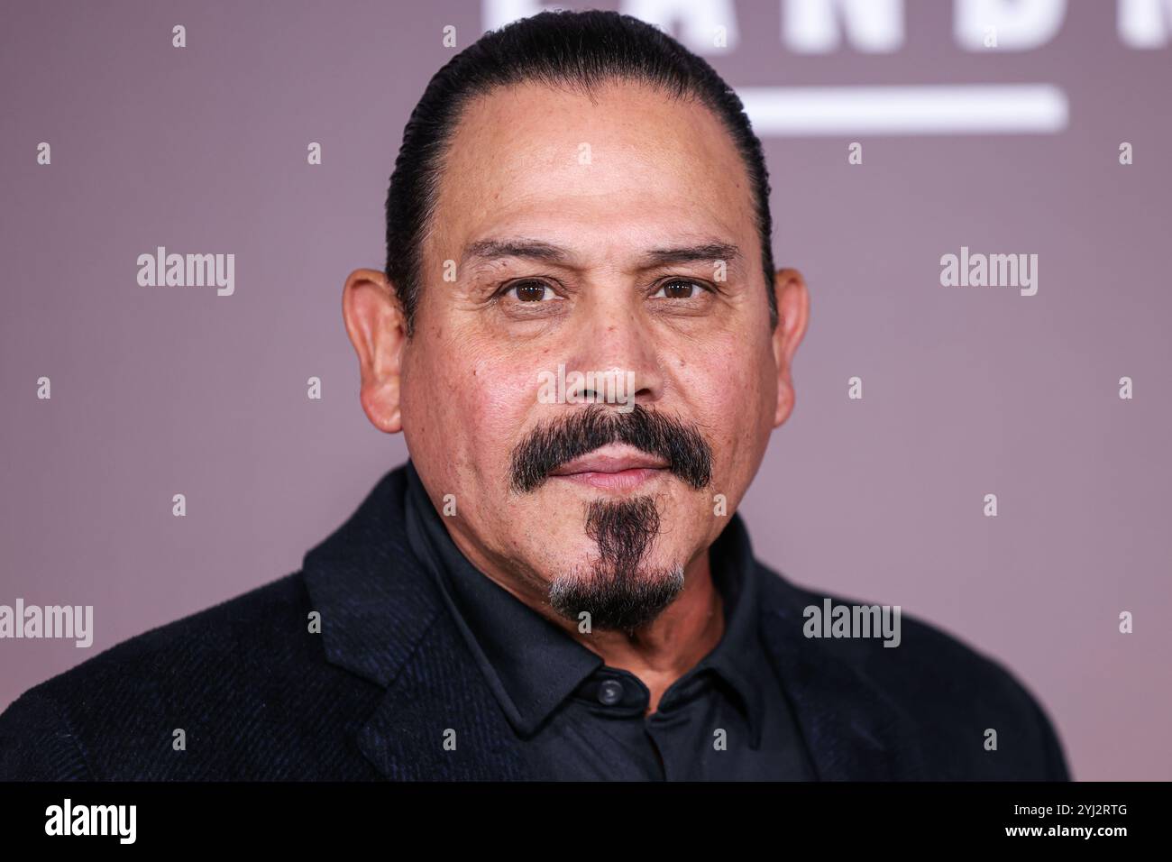 Hollywood, United States. 12th Nov, 2024. HOLLYWOOD, LOS ANGELES ...