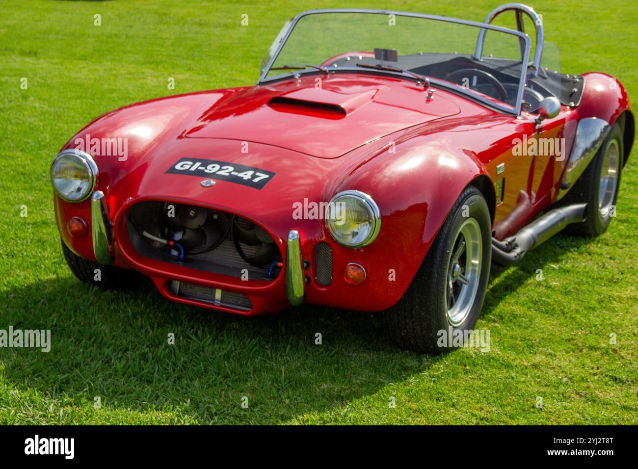 Classic red ac cobra 427 roadster parked on a lush green grass field ...