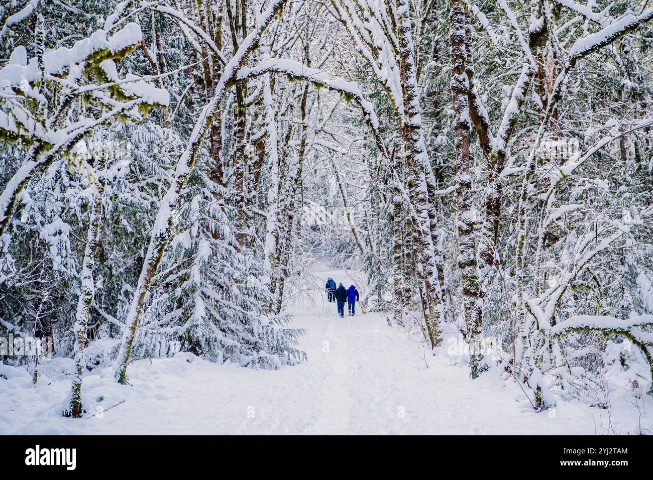 Frosty hiking trail hi-res stock photography and images - Alamy