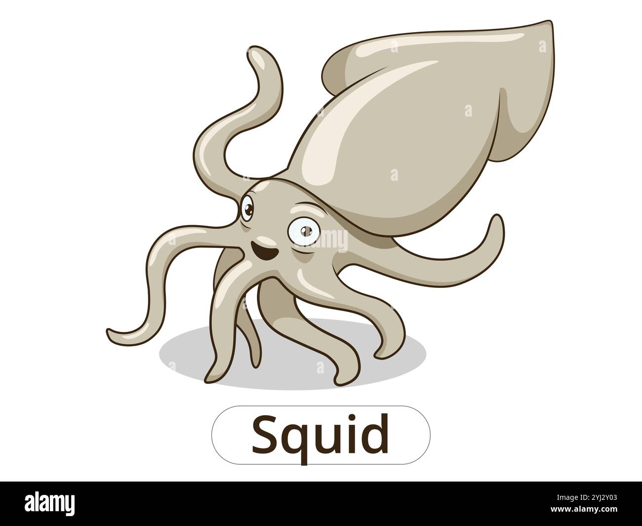Small squid Stock Vector Images - Alamy